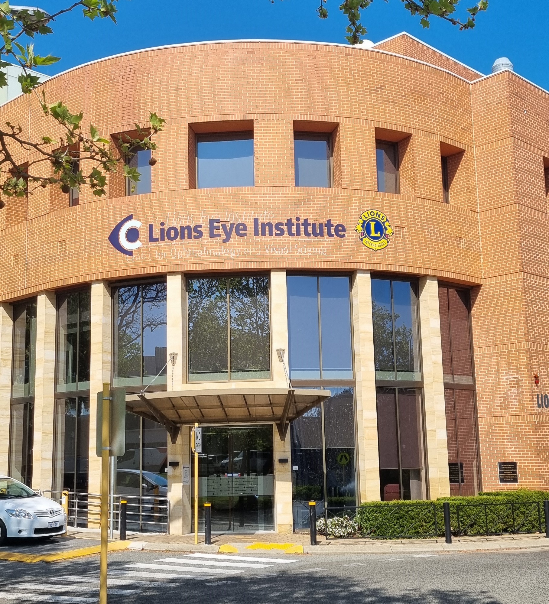 Lions Save-Sight Foundation Lions Save-Sight Foundation